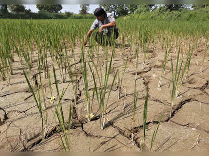 El Niño’s Impact on India’s Agriculture and Economy | IASPOINT