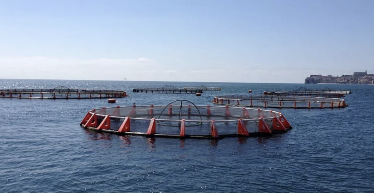 India Launches First Open-Sea Fish Farming Project | IASPOINT